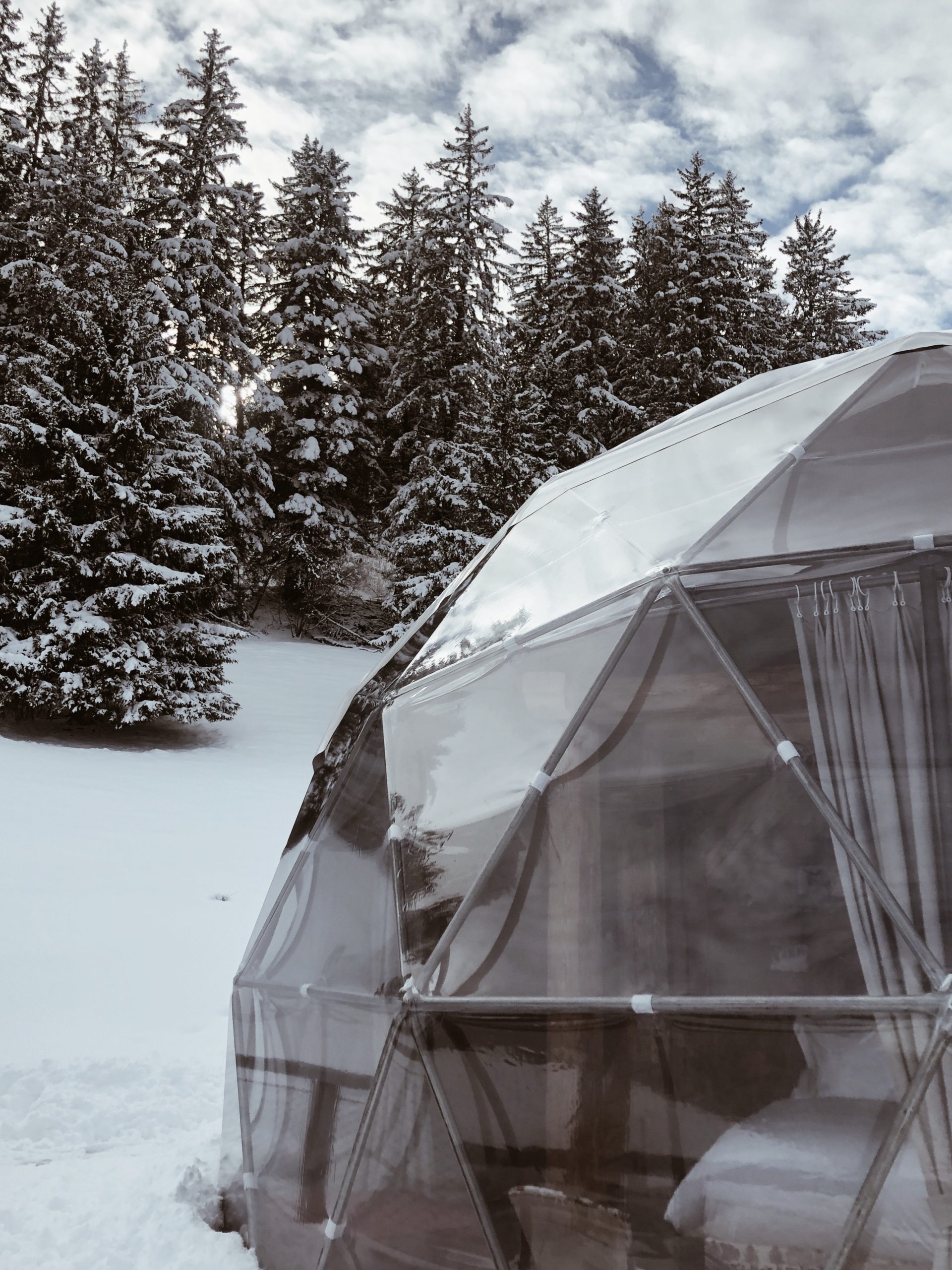 Une nuit dans un Whitepod • ChicandSwiss